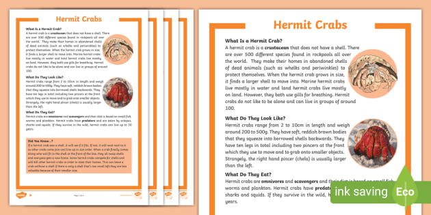 Crab Facts for Kids - Twinkl Homework Help - Twinkl