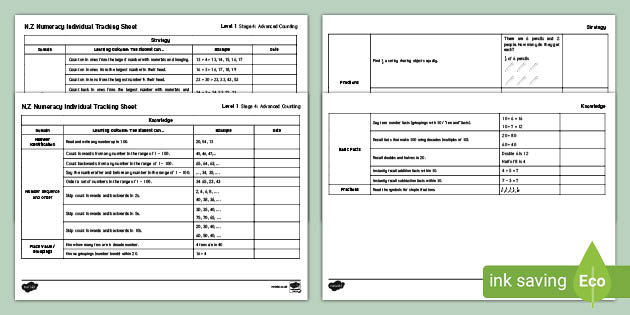 Stage 4 Numeracy Individual Assessment Checklist