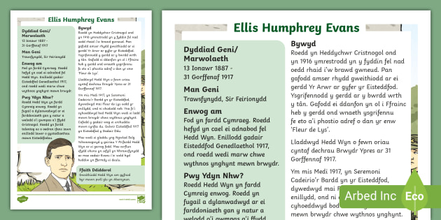 Ffeil Ffeithiau Hedd Wyn