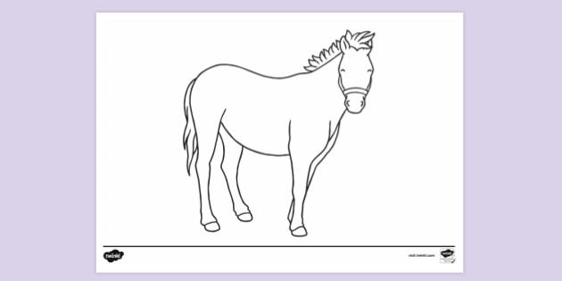 FREE! - Pony Small Horse Colouring Sheet | Colouring Sheets