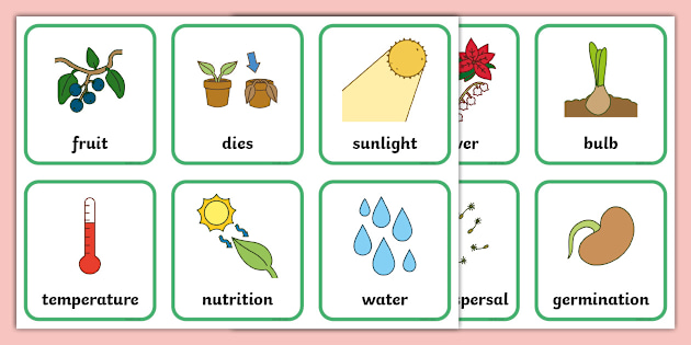 KS1 Symbols | twinkl.co.uk