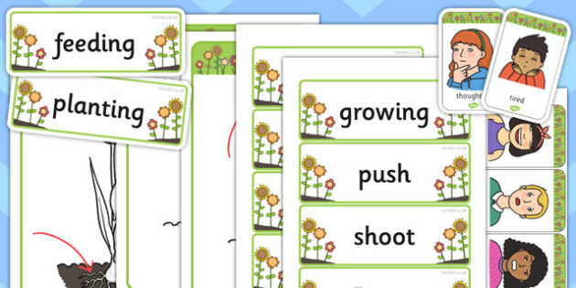 Plants Mind Maps | twinkl.com.au