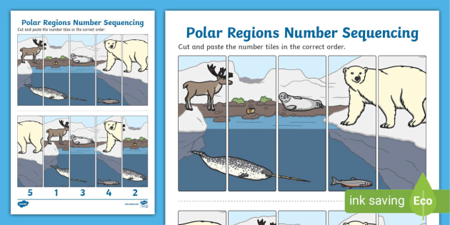 Polar Regions Number Sequencing Puzzle (teacher made)