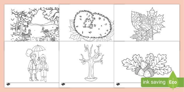 Autumn Colouring Sheets (teacher made)