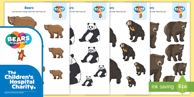 FREE! - Bears of Sheffield EYFS Bear Ordering (teacher made)