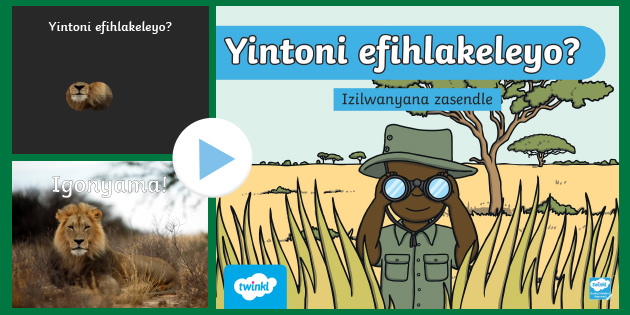 Yintoni efihlakeleyo? Izilwanyana zasendle - What is hiding? WIld Animals