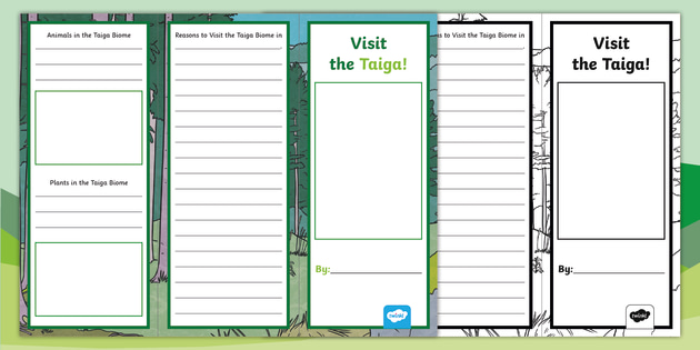 Taiga Biome Travel Brochure (teacher made)