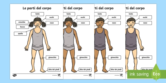 Parti del Corpo A4 Testa e Spalle Poster