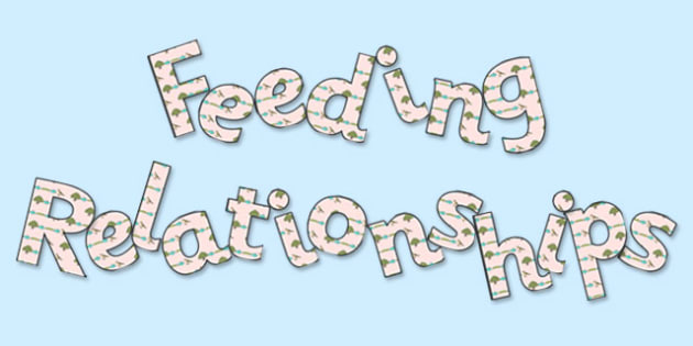 'Feeding Relationships' Display Lettering