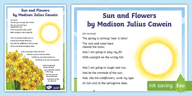 FREE! - SunSmart Poetry - Sun and Flowers (Teacher-Made)