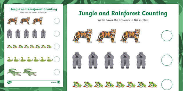 Jungle Counting Activities | twinkl.com.au