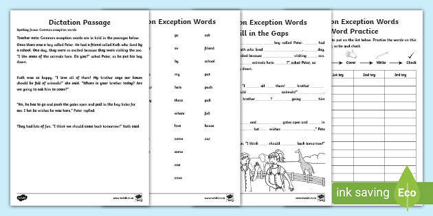 Dictation Test Pack Common Exception Words (teacher made)