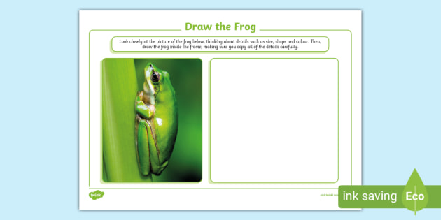 * NEW * Draw the Frog Art Activity, Frog (teacher made)