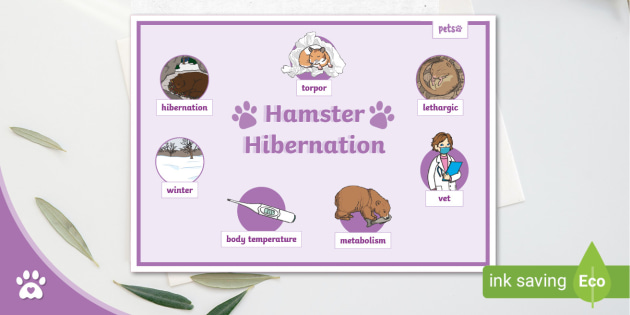 Hamster Hibernation Word Mat - Hamster Vocabulary - Pets