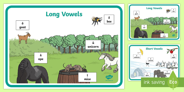 Long and Short Vowels Display Posters (teacher made)