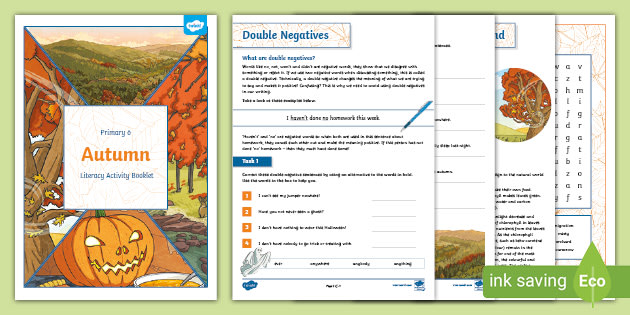 Primary 6 Literacy Activity Booklet Autumn (teacher made)