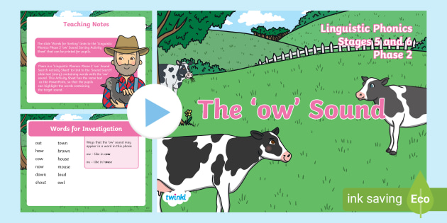 Linguistic Phonics Stages 5/6 Phase 2 'ow' Sound PowerPoint