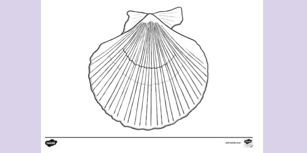 FREE! - Scallop Shell Outline Colouring Sheet | Twinkl