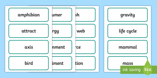 Talk Time Science 3 Word Cards