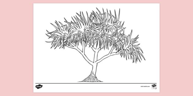 FREE! - Pandanus Tree Colouring Sheet | Colouring Sheets