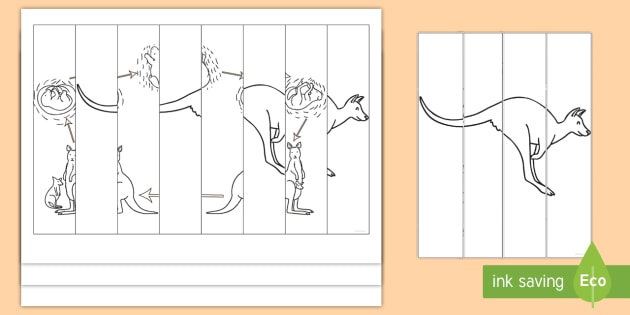 Kangaroo Life Cycle Agamographs Colouring Pages