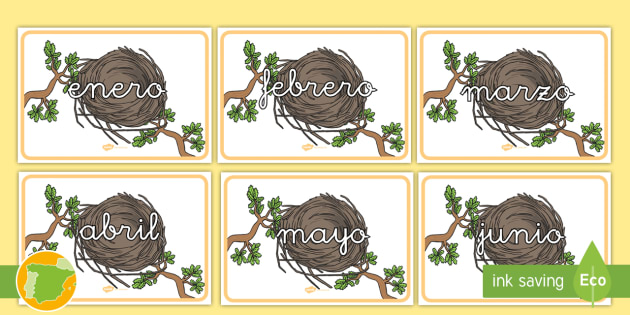 Los meses del año: Póster de exposición (teacher made)