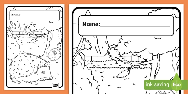 Hedgehog Colouring Book Cover