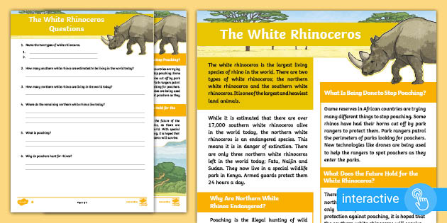 The White Rhinoceros Differentiated Reading Comprehension Activity