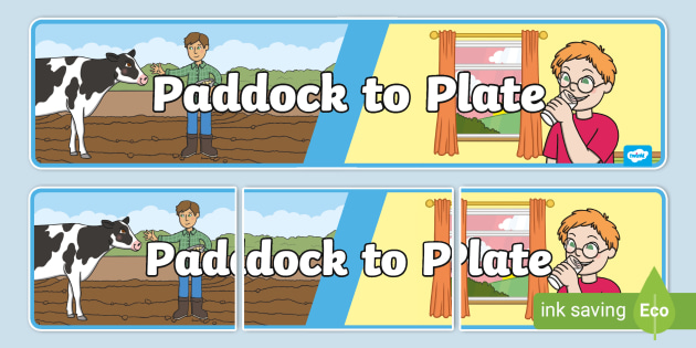 Paddock to Plate Display Banner | World Food Day