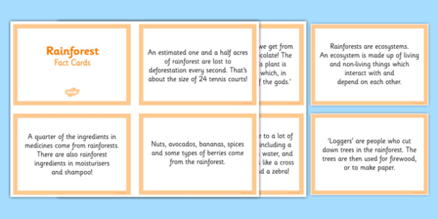 Rainforest Fact Cards (teacher made)