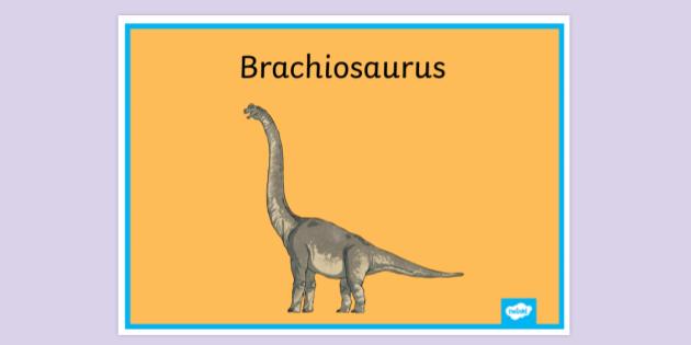 FREE! - Brachiosaurus Poster | Display Poster | Primary Resources