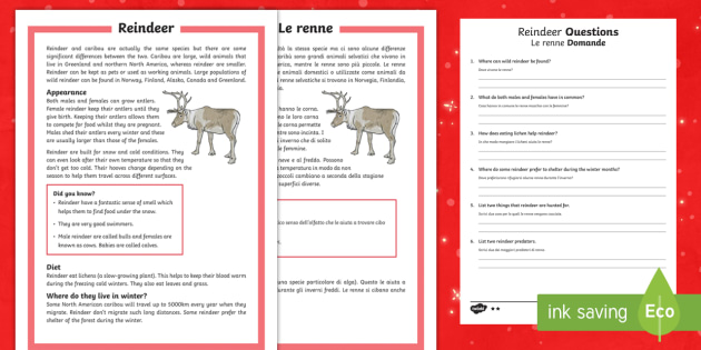Reindeer Differentiated Reading Comprehension Activity English/Italian