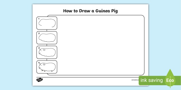How to Draw a Guinea Pig