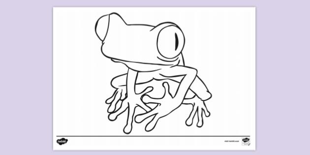 Felipe Tree Frog Colouring Sheet | Colouring Sheets