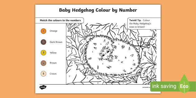 FREE! - Baby Hedgehog Colour by Number Worksheet