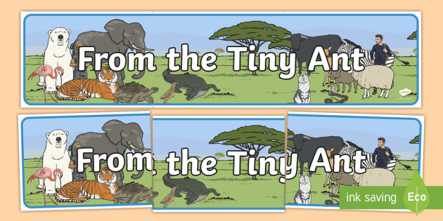👉 From the Tiny Ant Display Banner - From a Tiny Ant Display Banner
