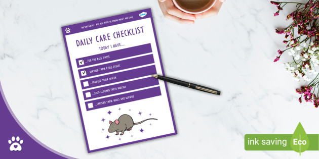 Rat Care - Daily Checklist - Rats - Pet Care - Twinkl Pets