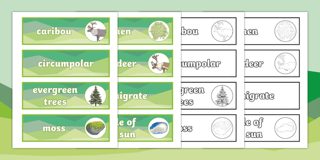 Taiga Biome Word Cards
