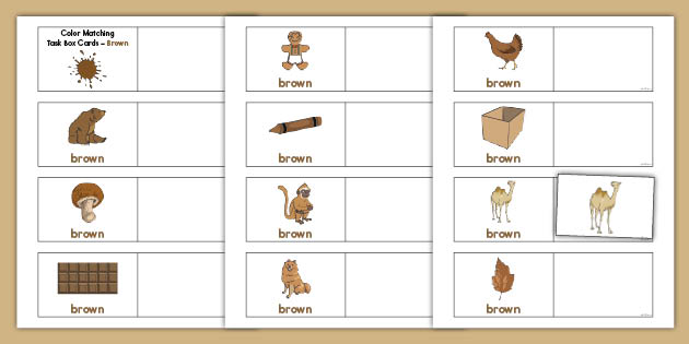 Color Matching Task Box Cards-Brown (teacher made)