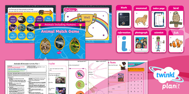 Guided Reading About Animals Groups For KS1 | Year 1 English