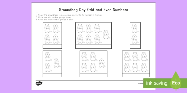Groundhog Day Odd and Even Math Worksheet / Activity Sheet