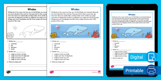 Blue Whale Comprehension