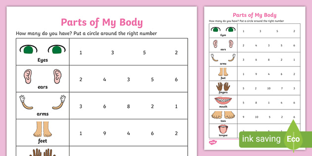 Parts Of My Body Activity