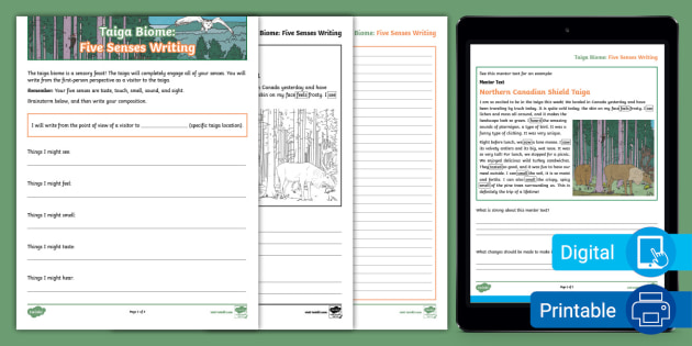 3rd Grade Writing Worksheet • Twinkl.com