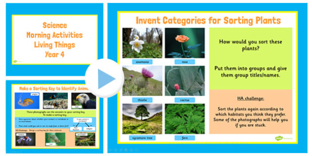 Year 4 Early Morning Activities Living Things teacher Made year-4-early-morning-activities-living-things-teacher-made
