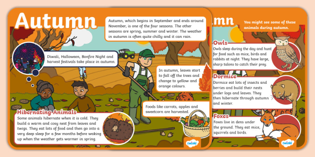 Autumn Animals Fact File (teacher made)
