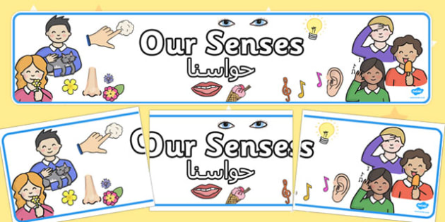 👉 Our Senses Display Banner Arabic Translation