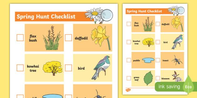 New Zealand Spring Treasure Hunt Checklist (teacher made)