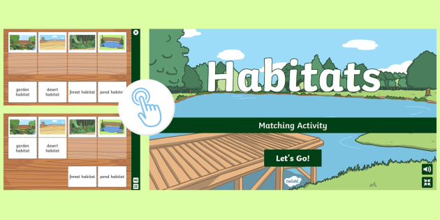 Interactive Habitats Matching Activity | Twinkl Go!
