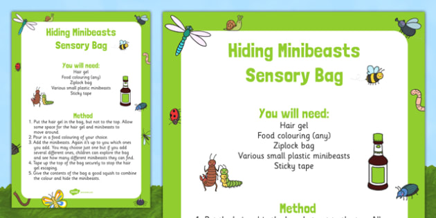 Hiding Minibeasts Sensory Bag (teacher made)